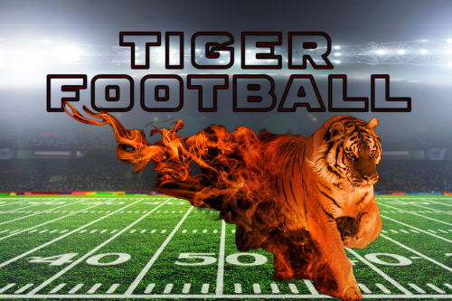 Don’t Miss the Meet the Tigers Pep Rally Tomorrow | Winn Parish Journal
